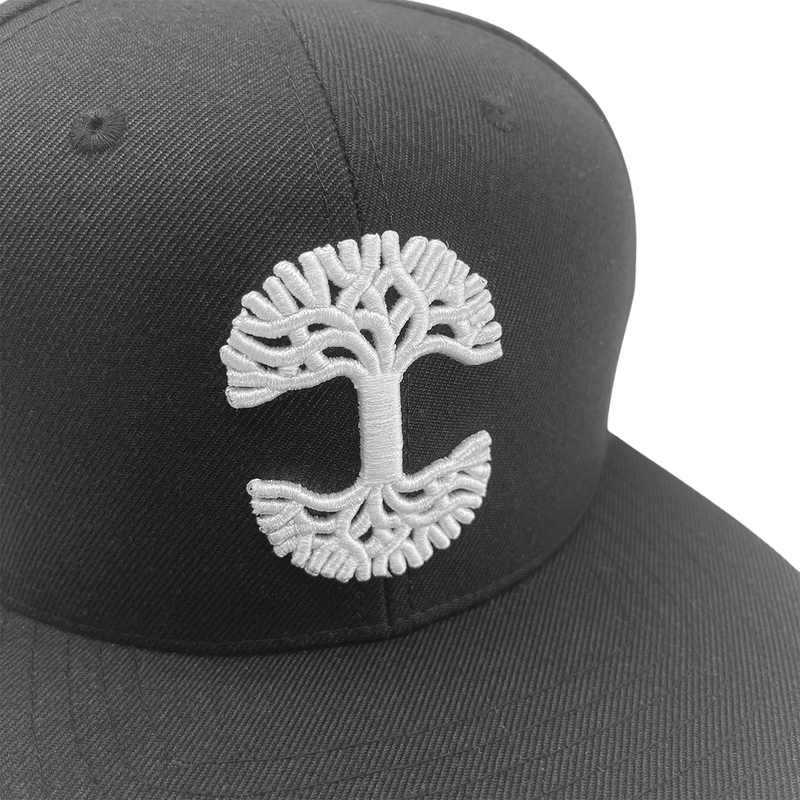 Oaklandish Classic Snapback 10845882578